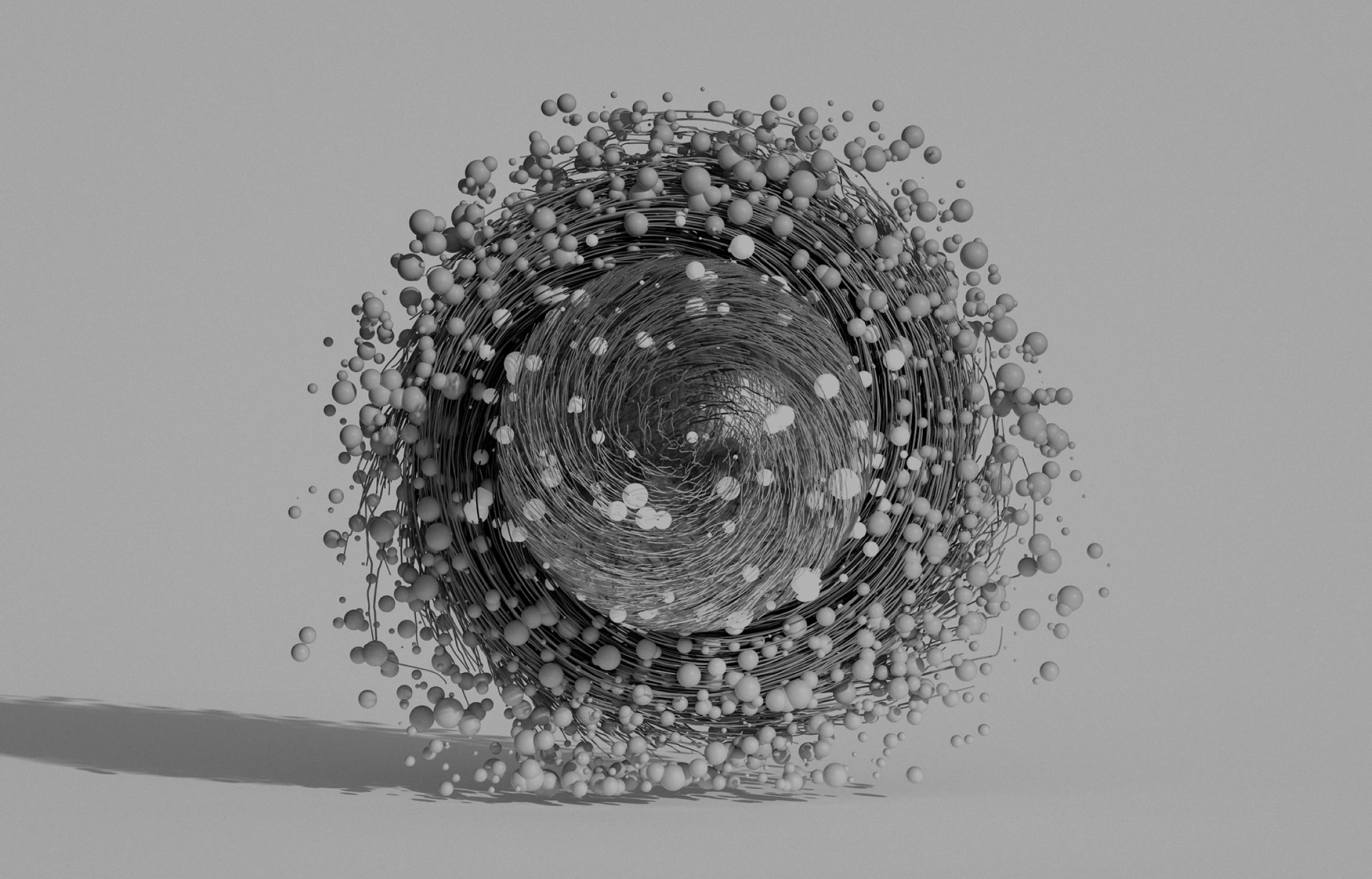 Home Main - Jandan & Co